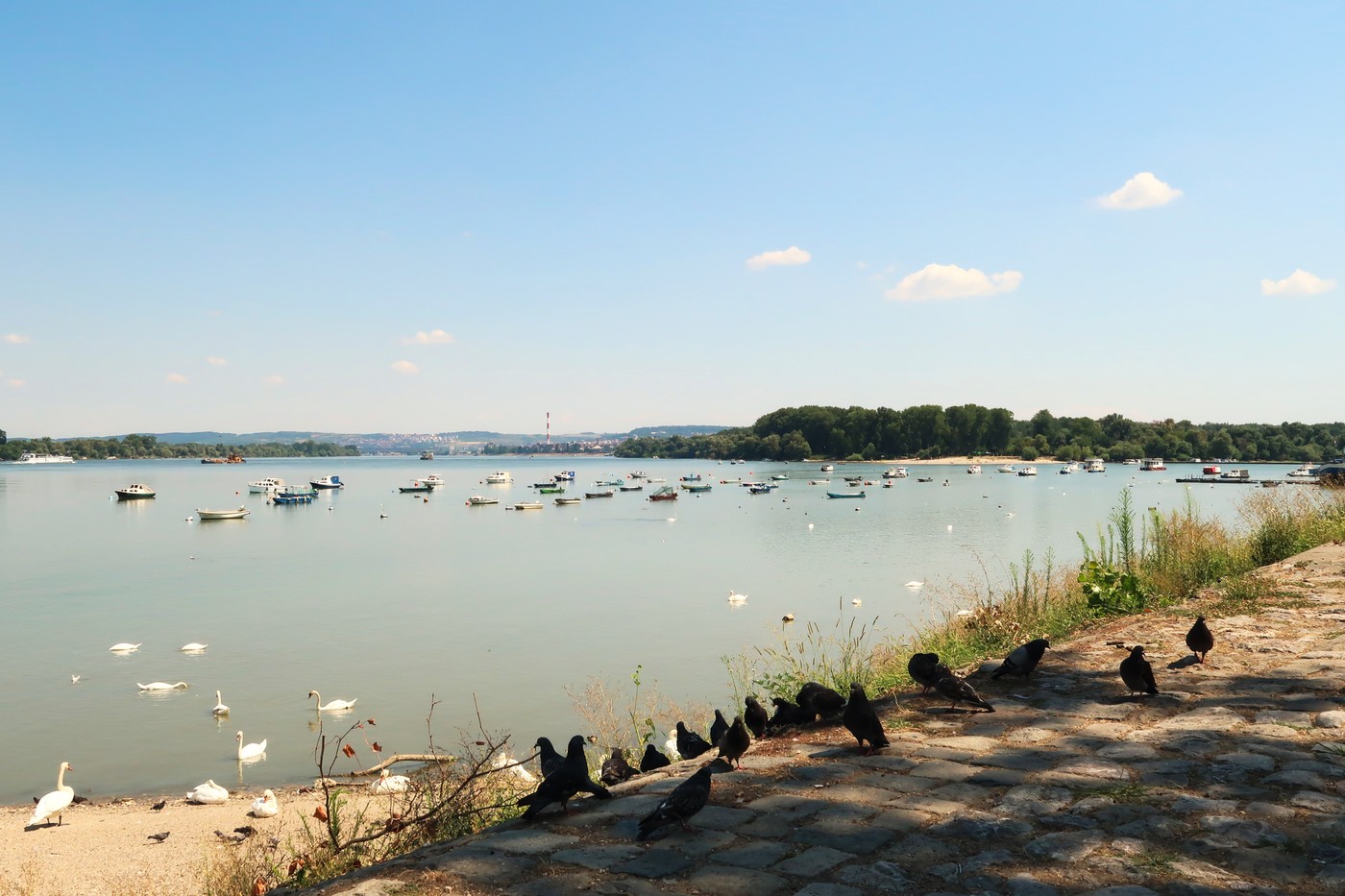 Oko 30 minuta vožnje od Beograda: Otoku iz Dunava čeka vas zabavan ...